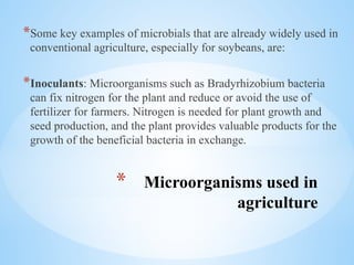 Microorganisms: Importance, Applications and Benefits for Agriculture ...
