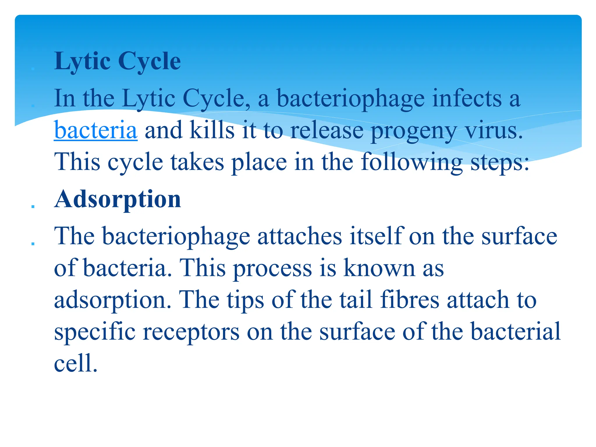 Bacteriophage Definition, Structure, and Life Cycle | PPTX