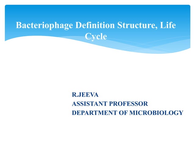 Bacteriophage Definition, Structure, and Life Cycle | PPT