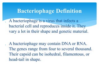 Bacteriophage Definition, Structure, and Life Cycle | PPT