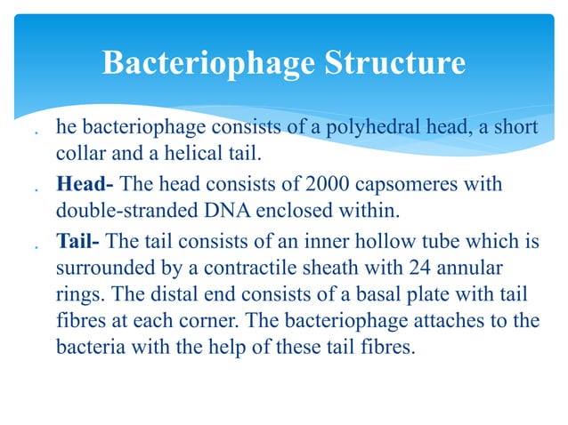 Bacteriophage Definition, Structure, and Life Cycle | PPT