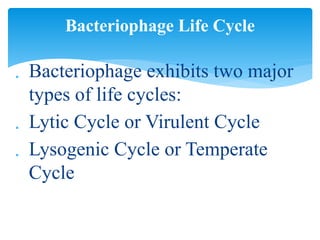 Bacteriophage Definition, Structure, and Life Cycle | PPT