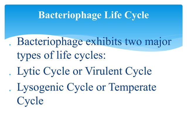 Bacteriophage Definition, Structure, and Life Cycle | PPT