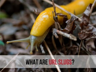 URL Slugs (Public) | PDF