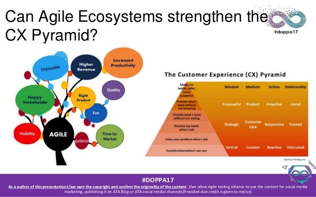 Strengthening CX through Agile Ecosystems