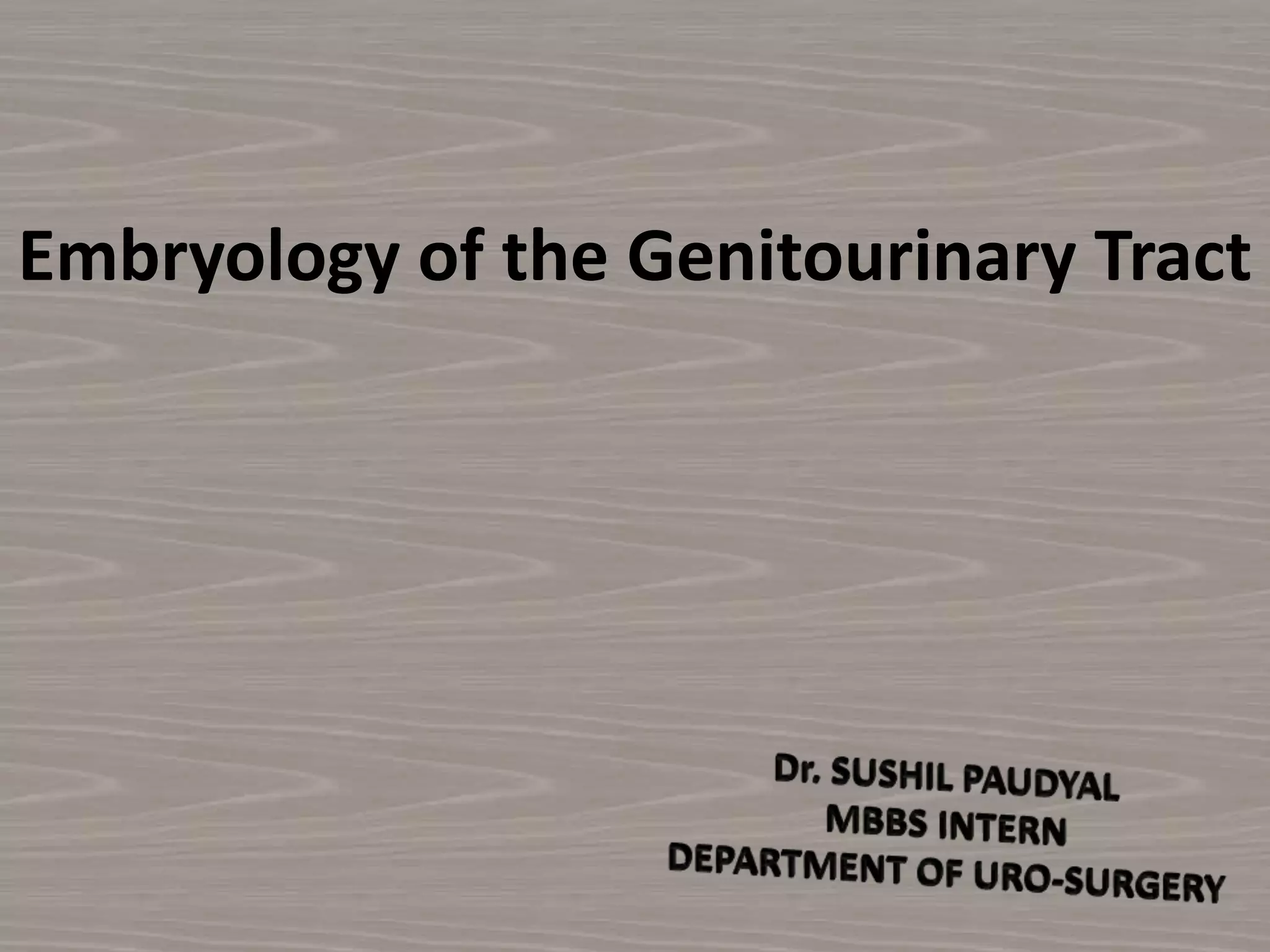 Embryology of Genitourinary Tract | PPTX