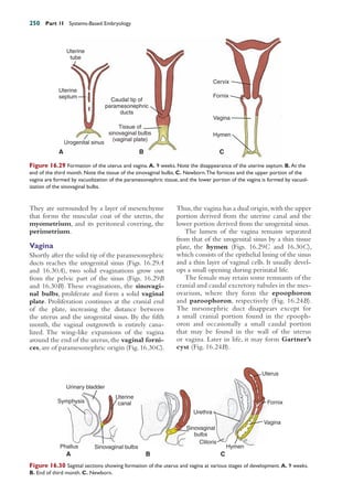 HỆ SINH DỤC | PDF | Reproductive Health | Diseases and Conditions