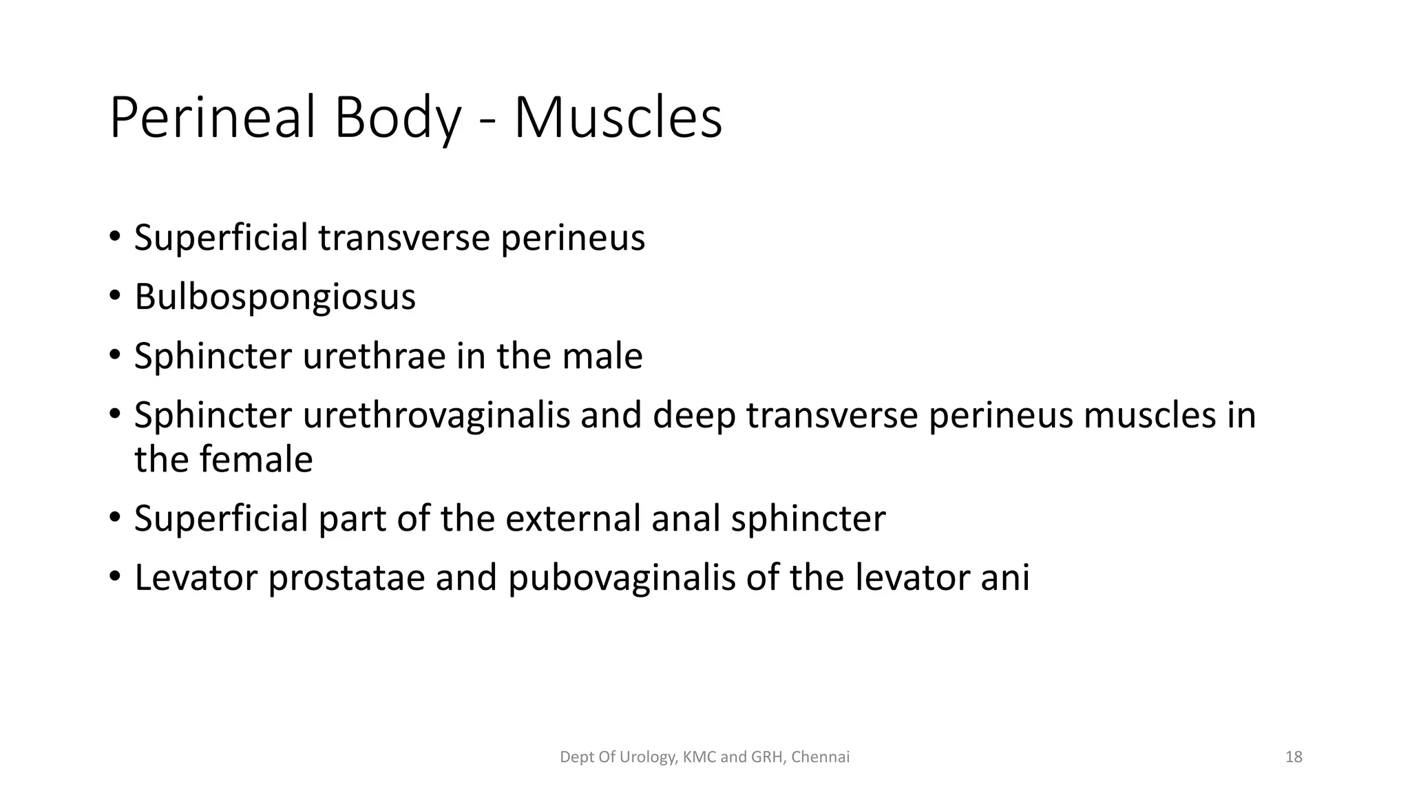 Uro gynaecology- anatomy- pelvic floor | PDF