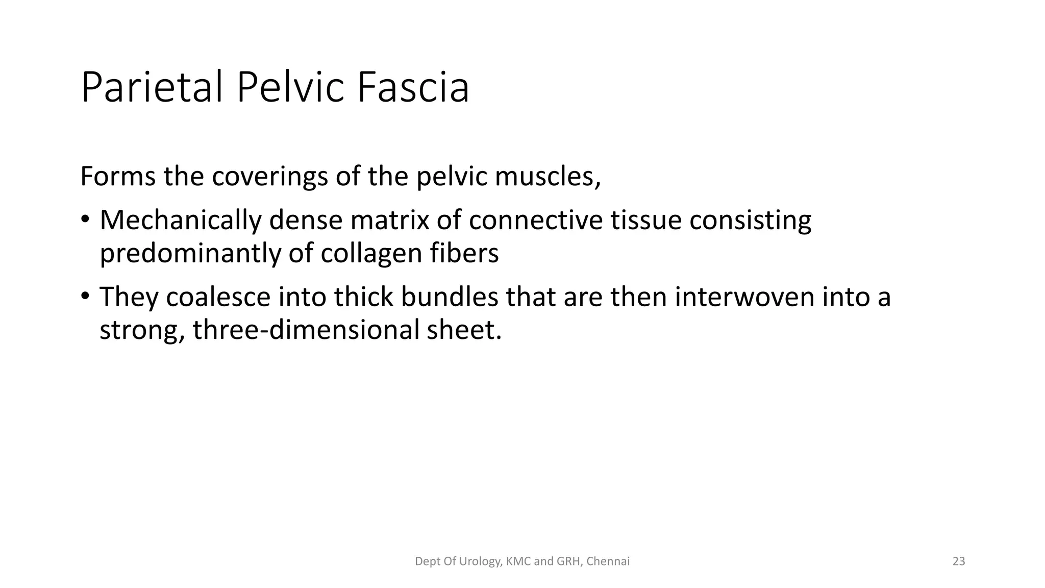 Uro gynaecology- anatomy- pelvic floor | PDF