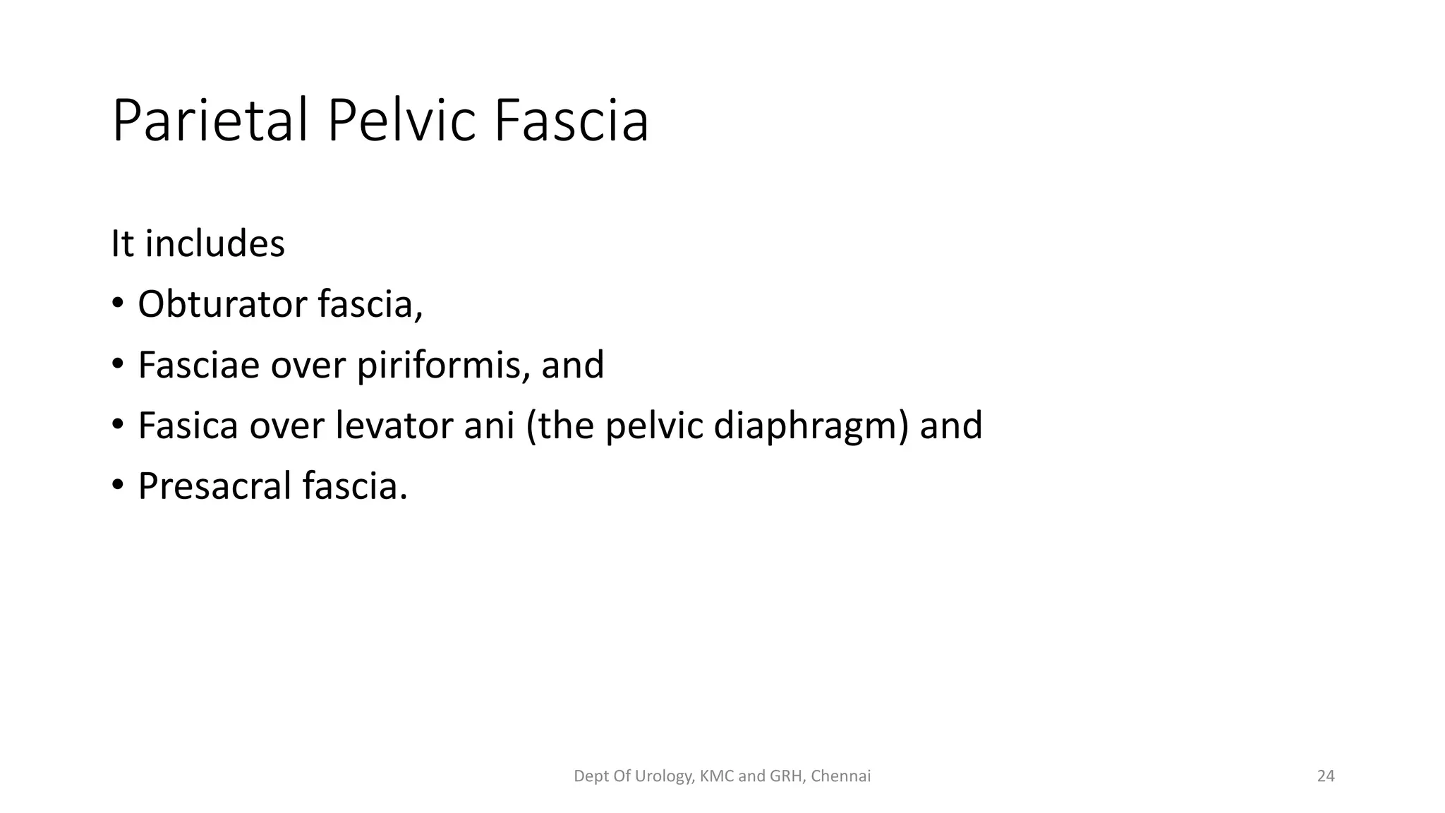 Uro gynaecology- anatomy- pelvic floor | PDF