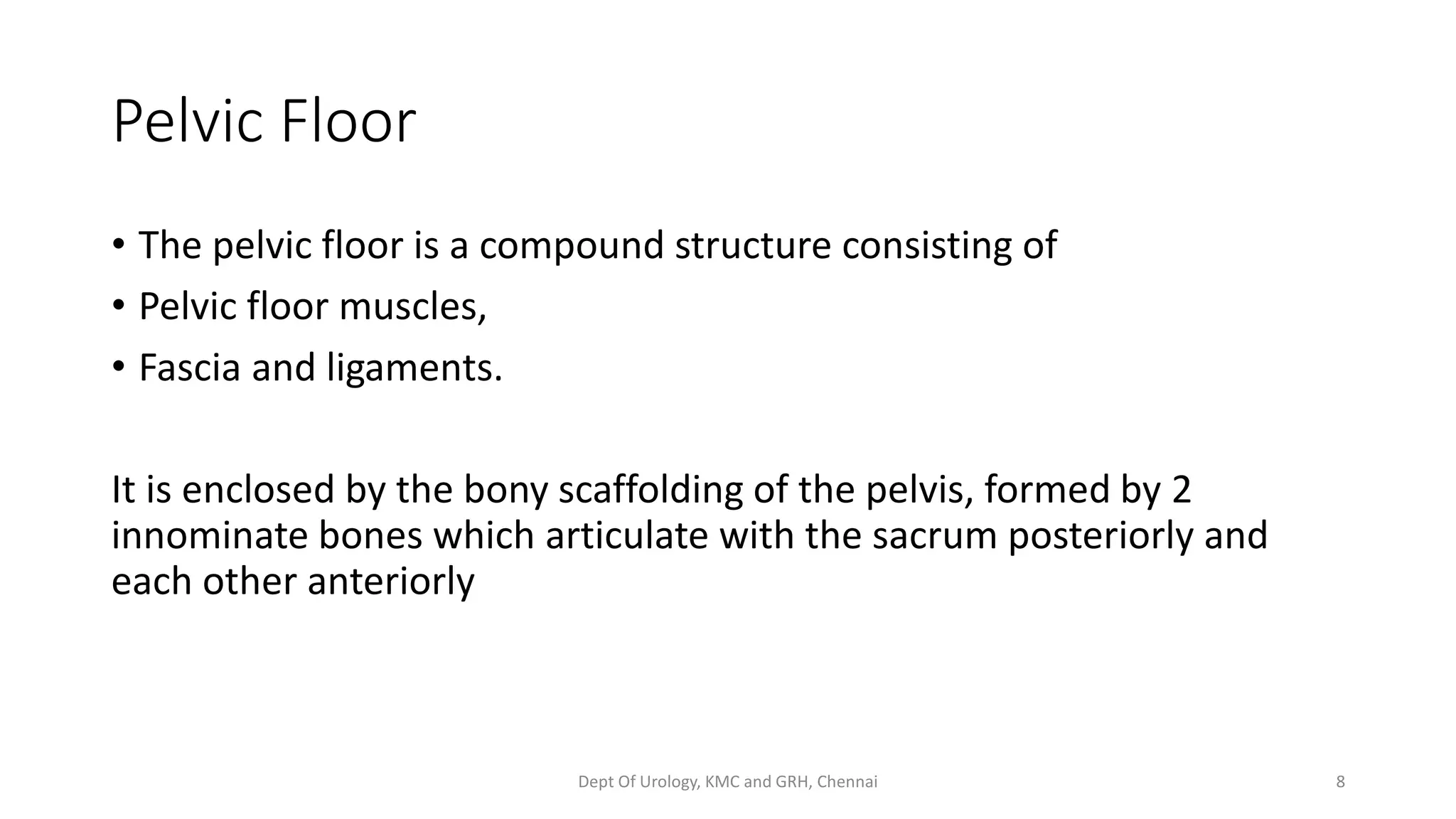 Uro gynaecology- anatomy- pelvic floor | PDF