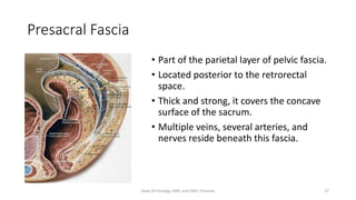 Uro gynaecology- anatomy- pelvic floor | PDF