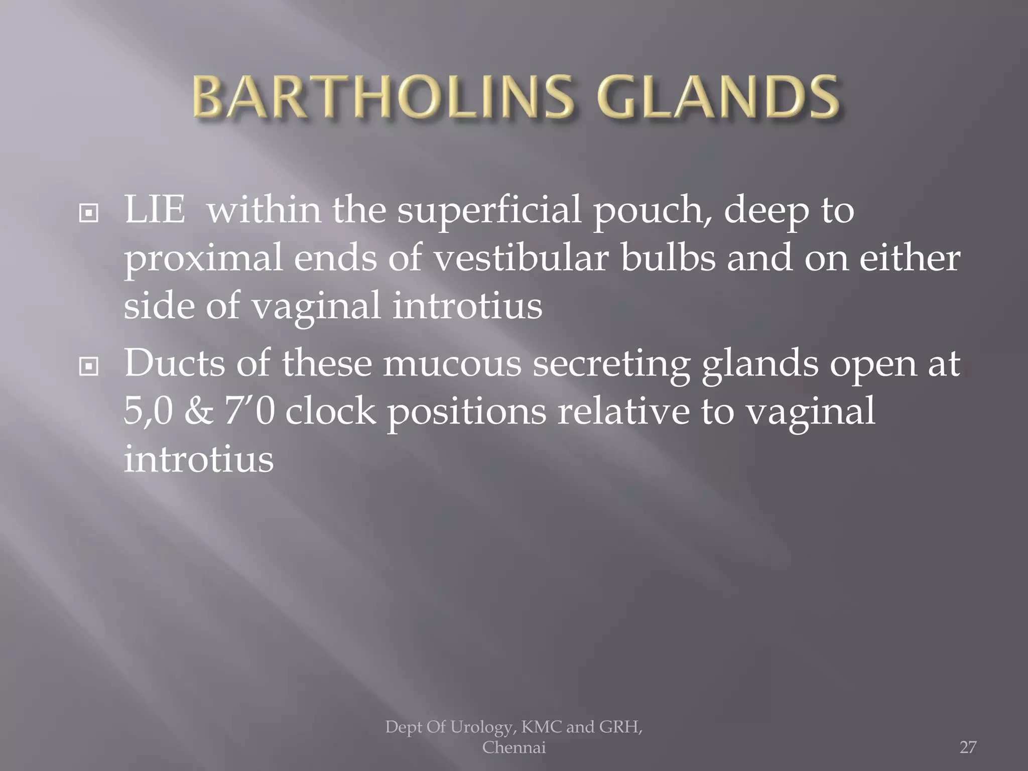 Uro gynaecology- antomy of perineum | PDF