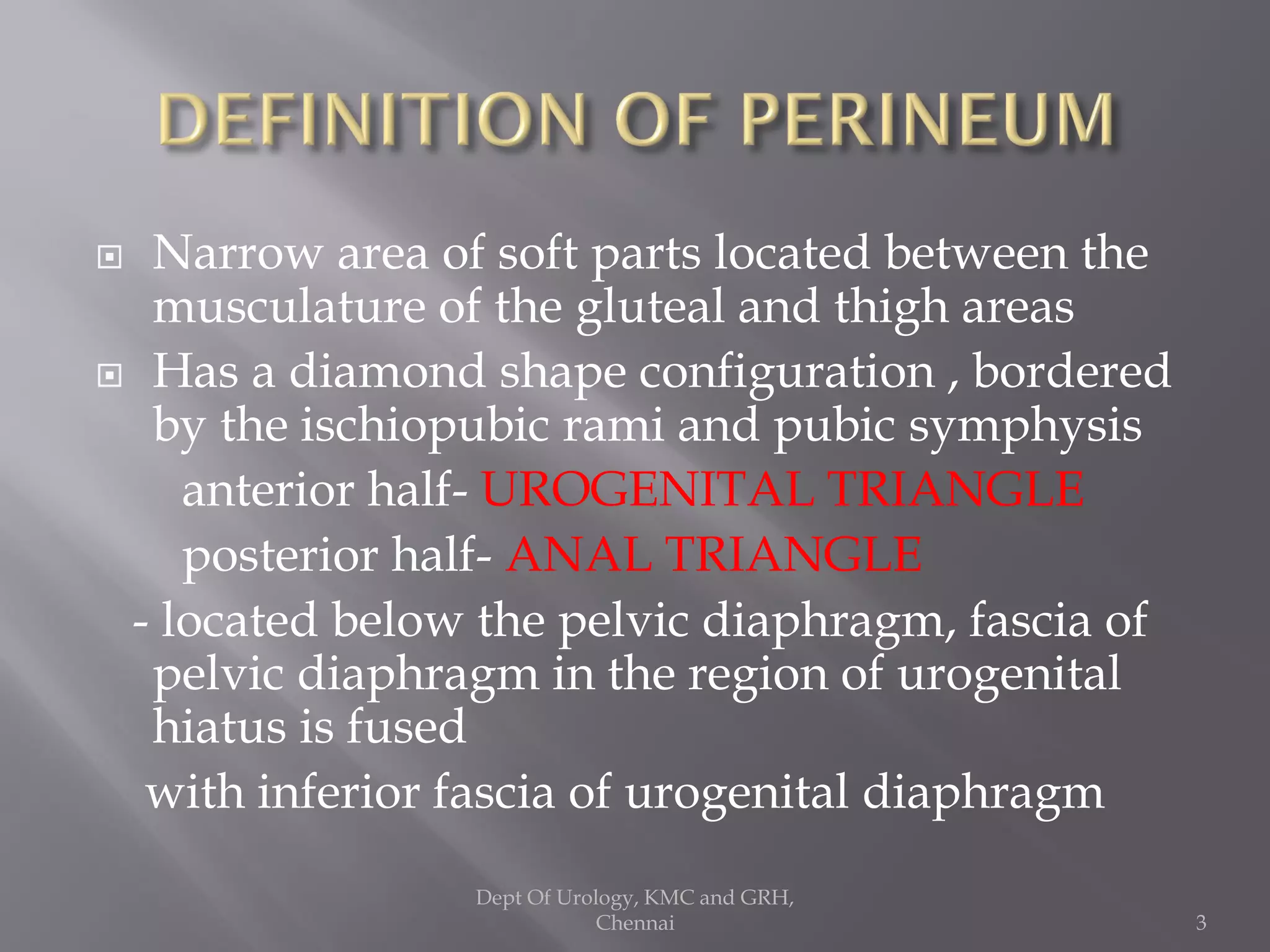 Uro gynaecology- antomy of perineum | PDF