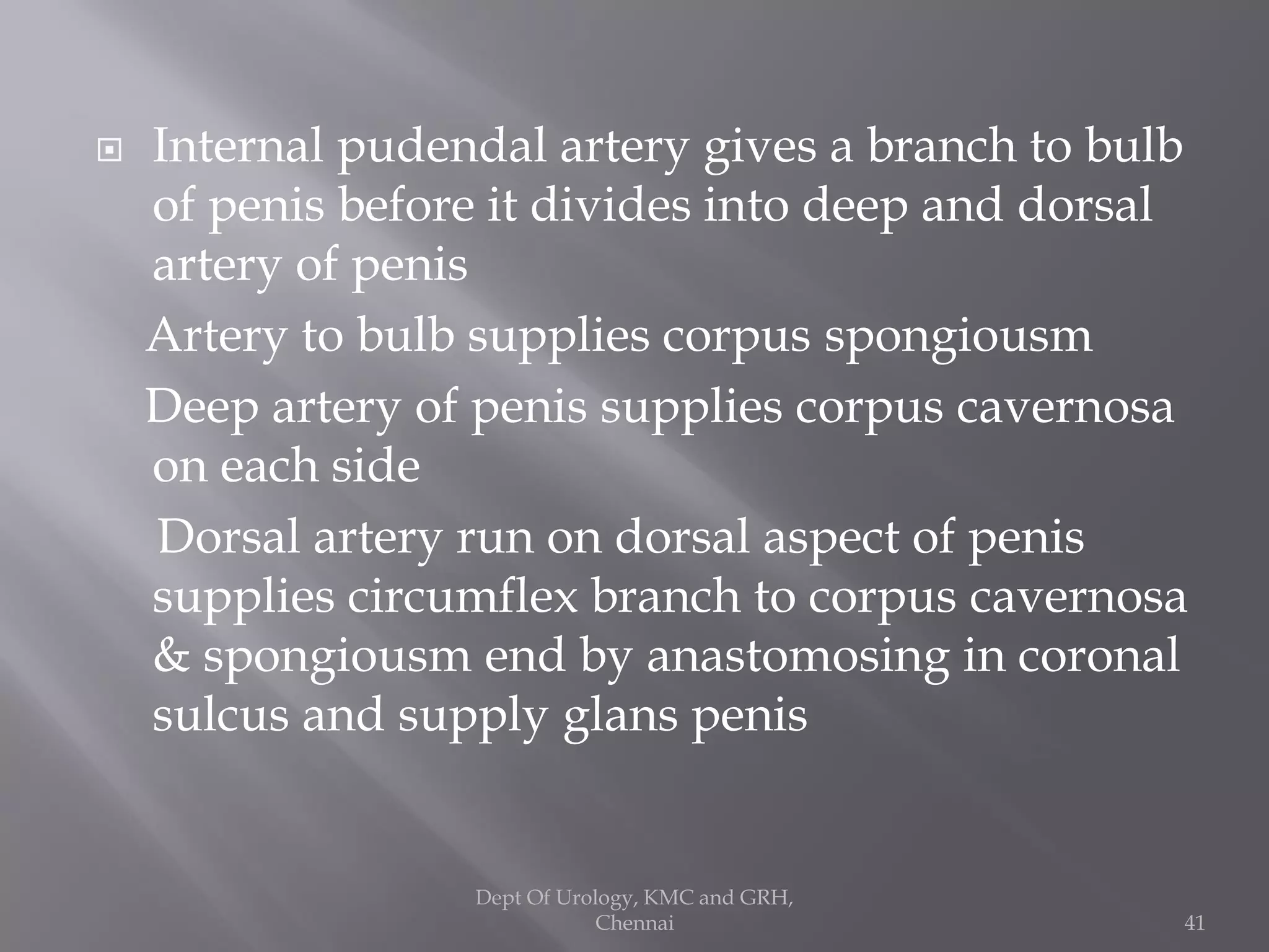 Uro gynaecology- antomy of perineum | PDF