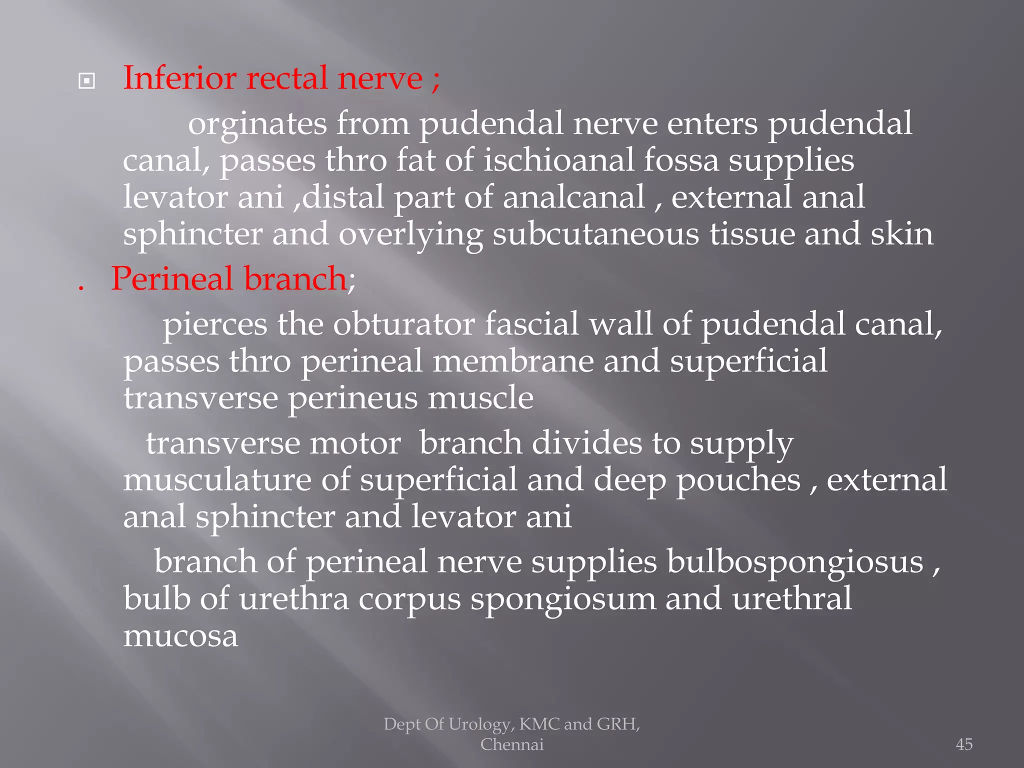 Uro gynaecology- antomy of perineum | PDF