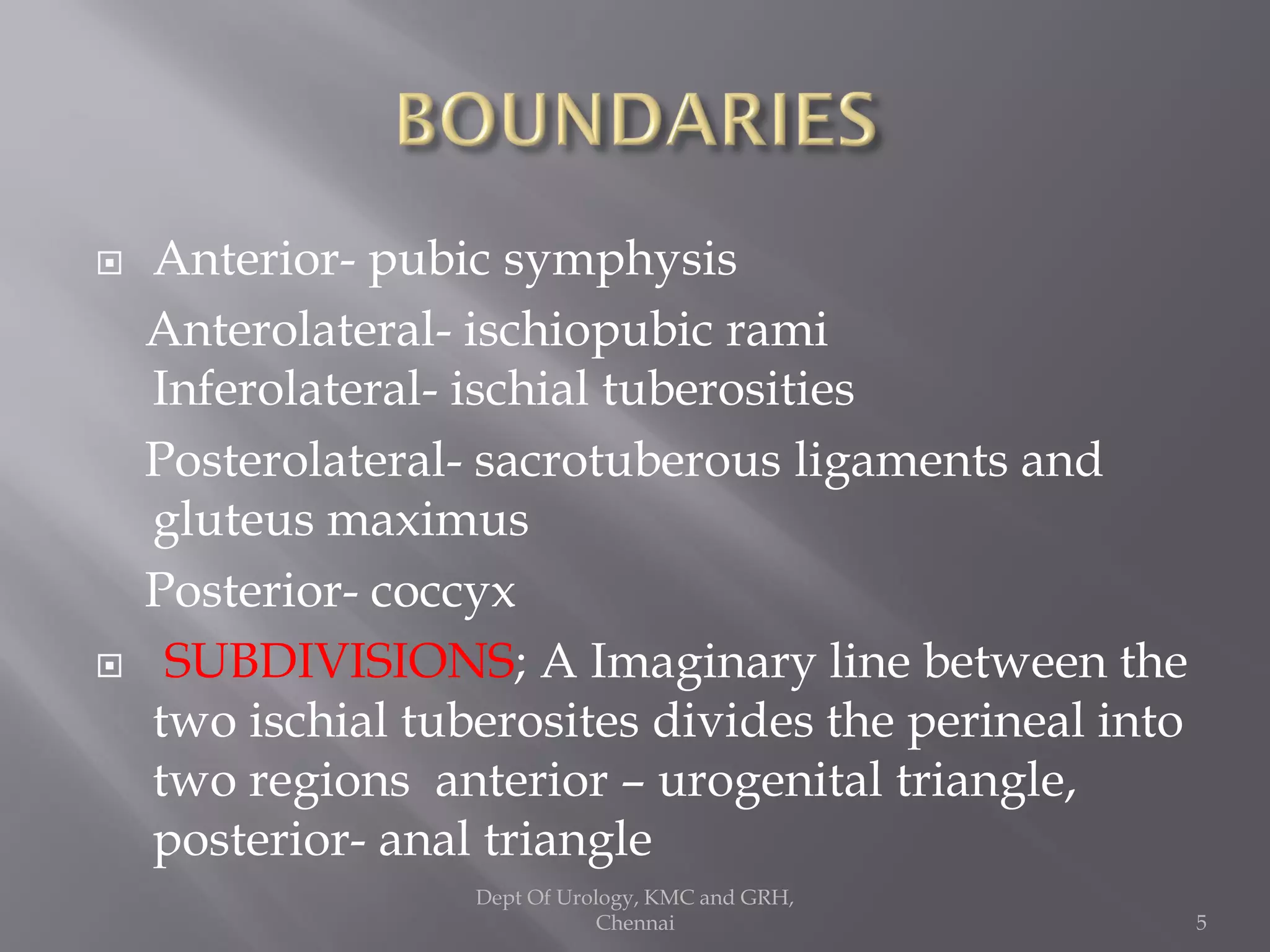 Uro gynaecology- antomy of perineum | PDF