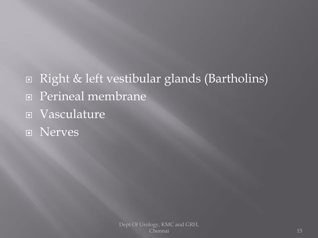 Uro gynaecology- antomy of perineum | PDF