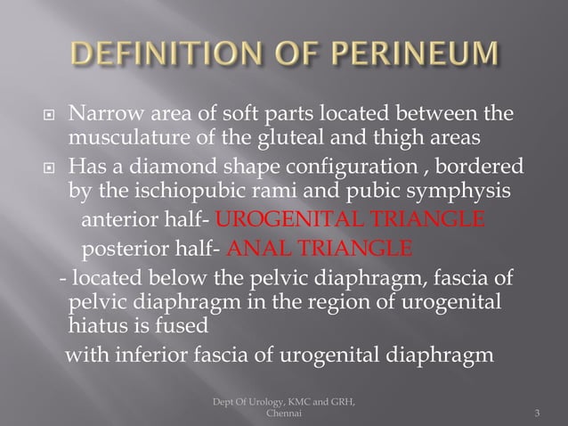 Uro gynaecology- antomy of perineum | PDF