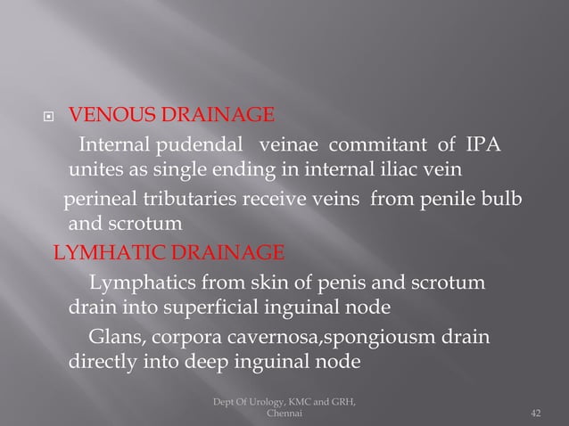 Uro gynaecology- antomy of perineum | PDF