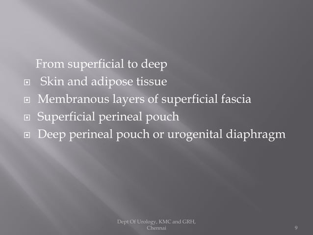 Uro gynaecology- antomy of perineum | PDF