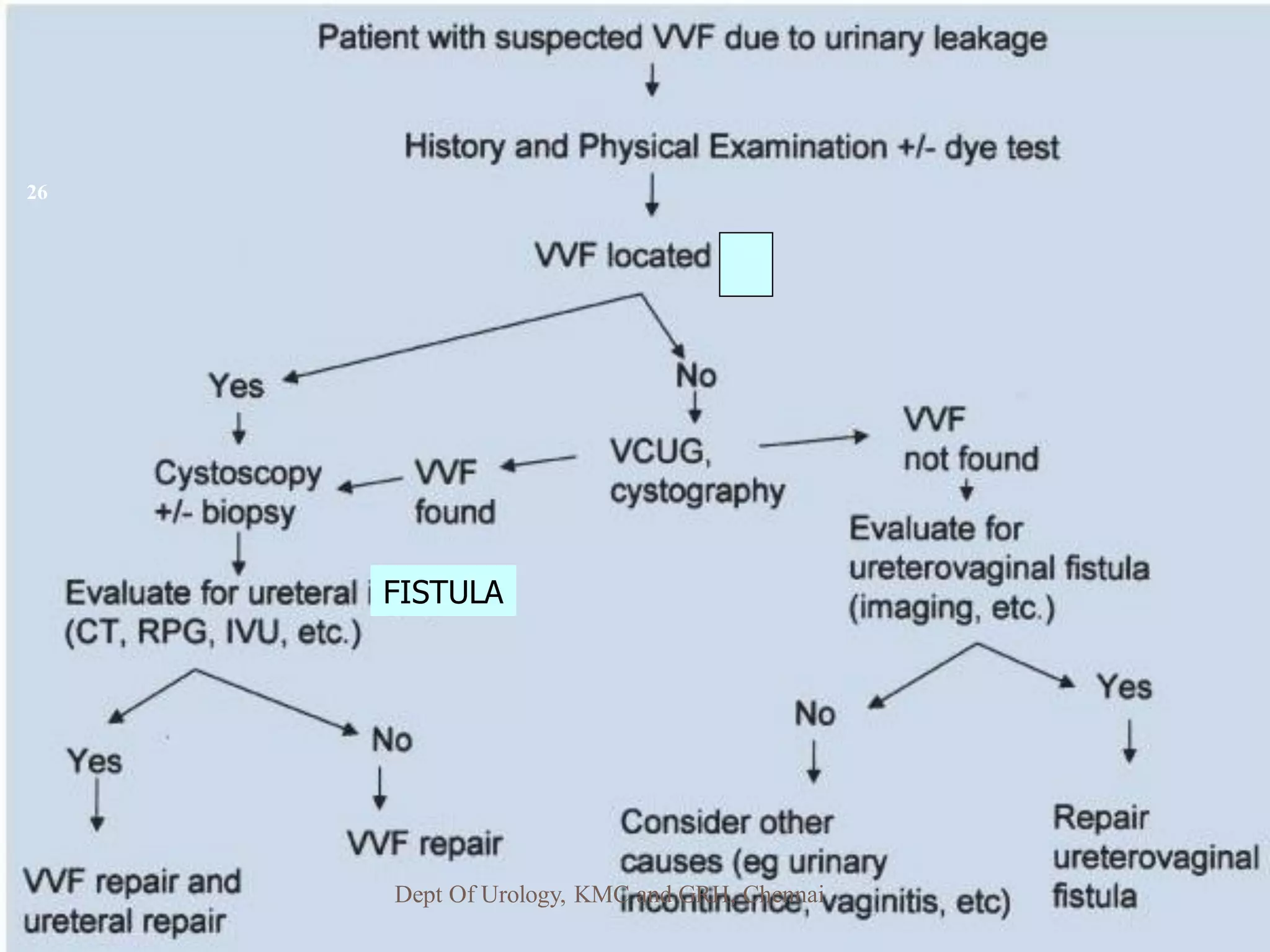 Uro gynacology- vvf | PDF