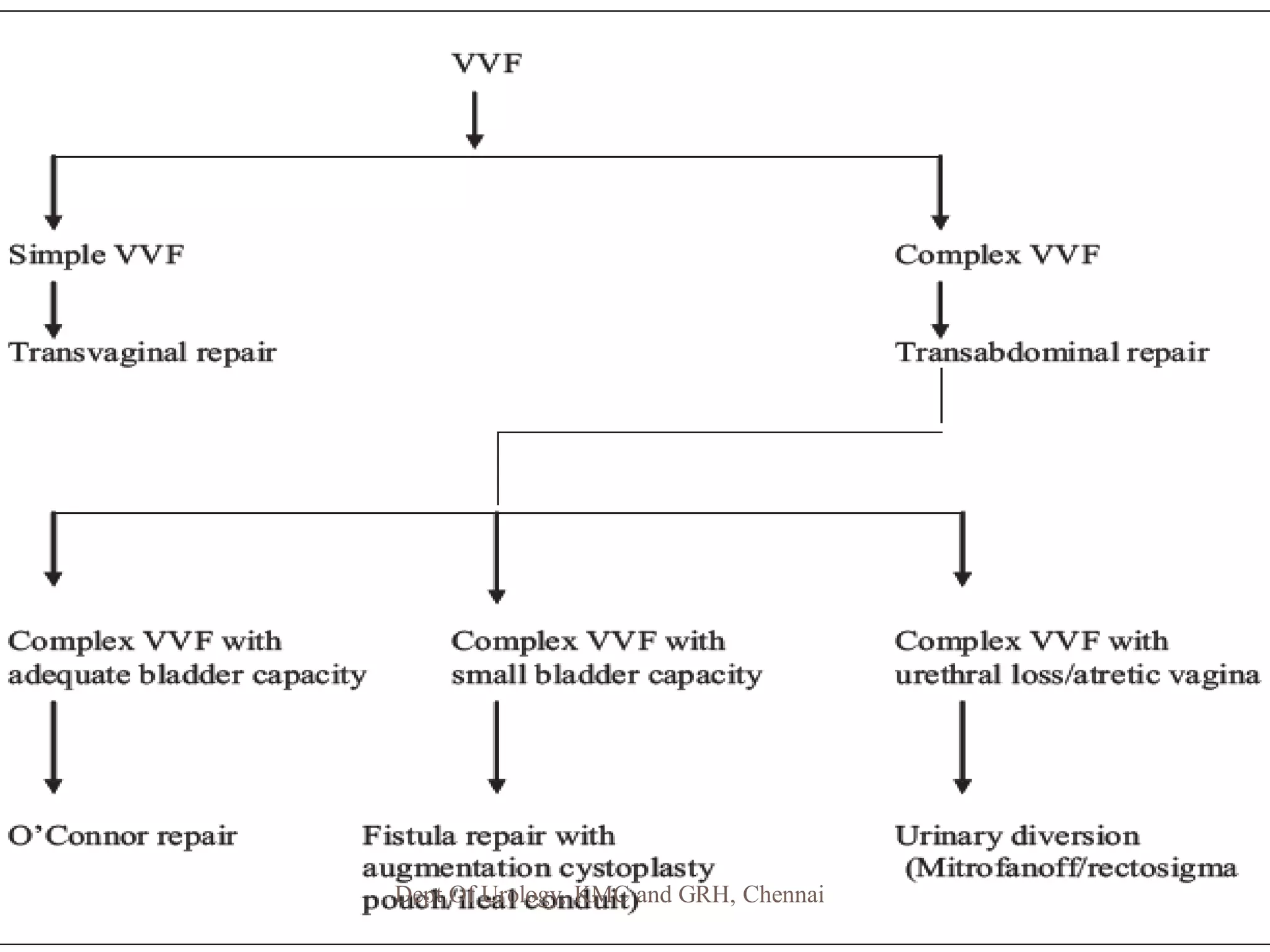 Uro gynacology- vvf | PDF