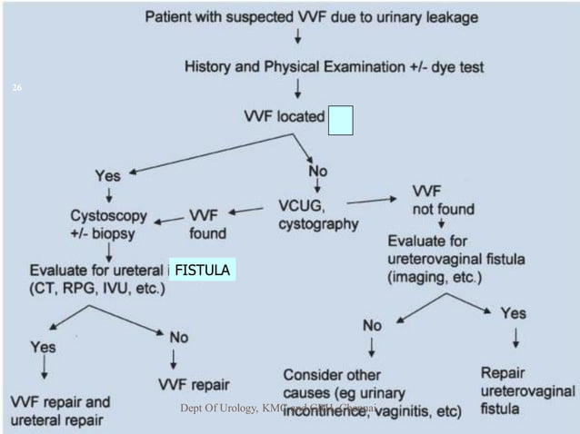 Uro gynacology- vvf | PDF | Sexual Conditions | Sexual Health