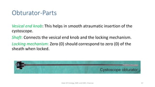 Uro instruments- cystoscopy & fibreoptics | PDF