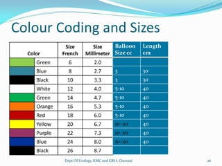 Urethral Catheter Sizes