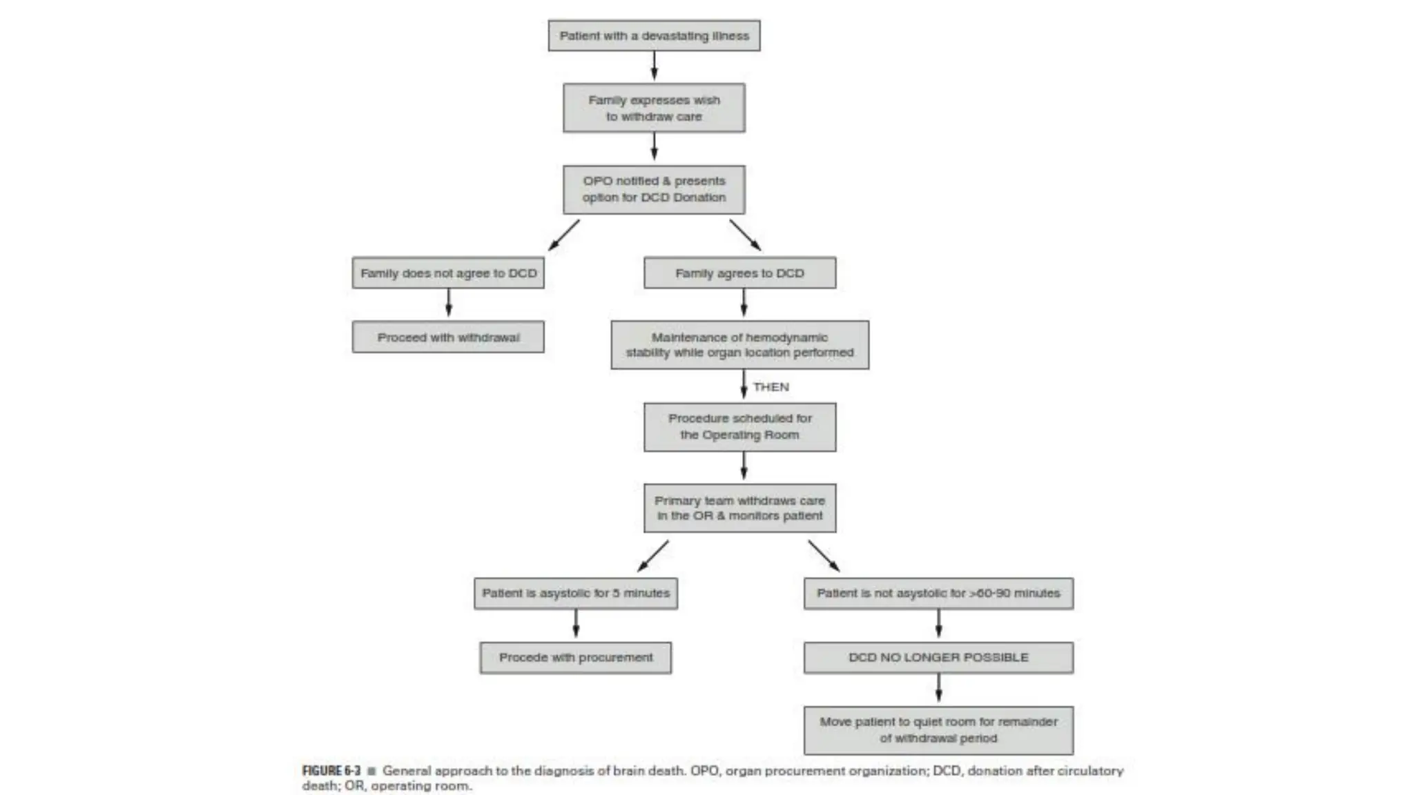 Uro- nephro - Deceased kidney donor evaluation.pdf