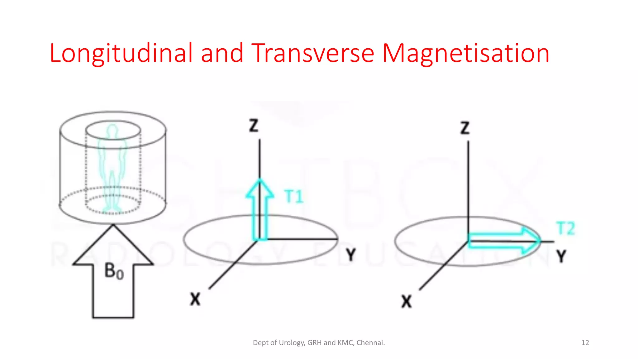 MRI IN UROLOGY | PDF