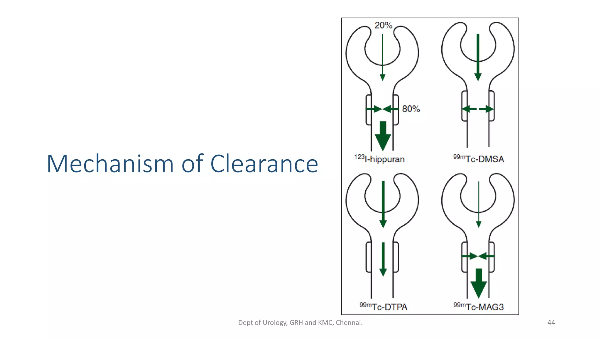 RENOGRAM | PDF | Blood Disorders | Diseases and Conditions