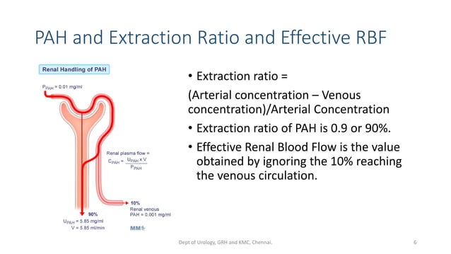 RENOGRAM | PDF | Blood Disorders | Diseases and Conditions
