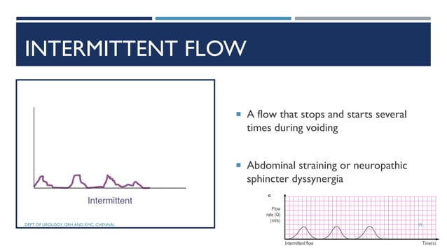 URODYNAMICS | PDF | Digestive Disorders | Diseases and Conditions