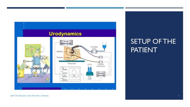 URODYNAMICS | PDF | Digestive Disorders | Diseases and Conditions
