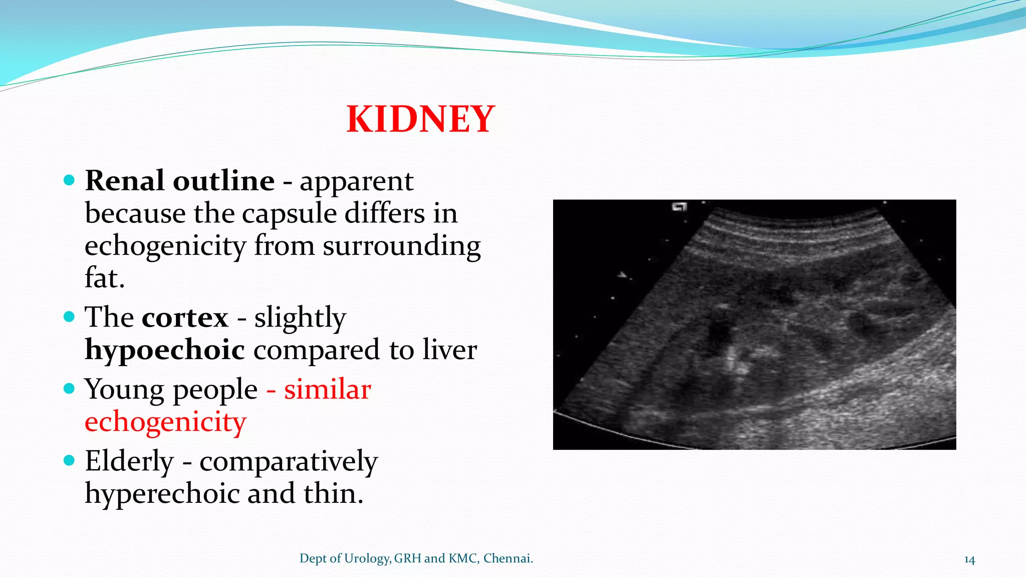 ULTRASOUND IN UROLOGY | PDF