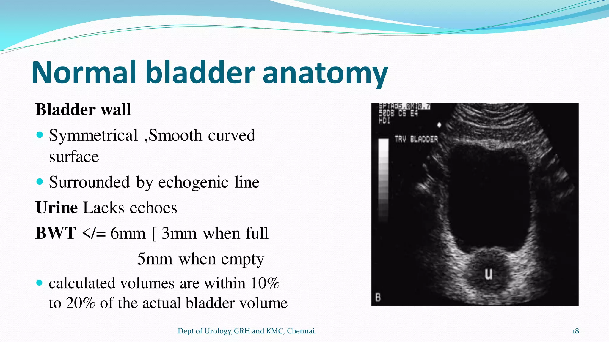 ULTRASOUND IN UROLOGY | PDF