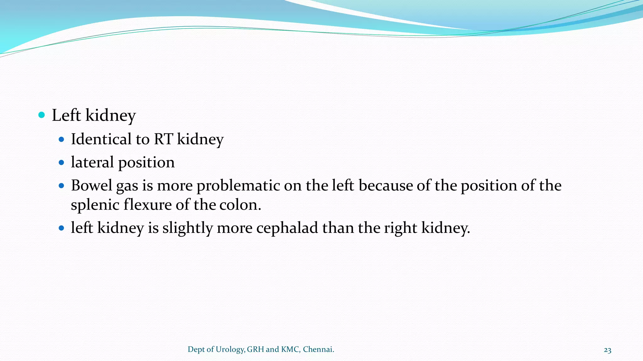 ULTRASOUND IN UROLOGY | PDF
