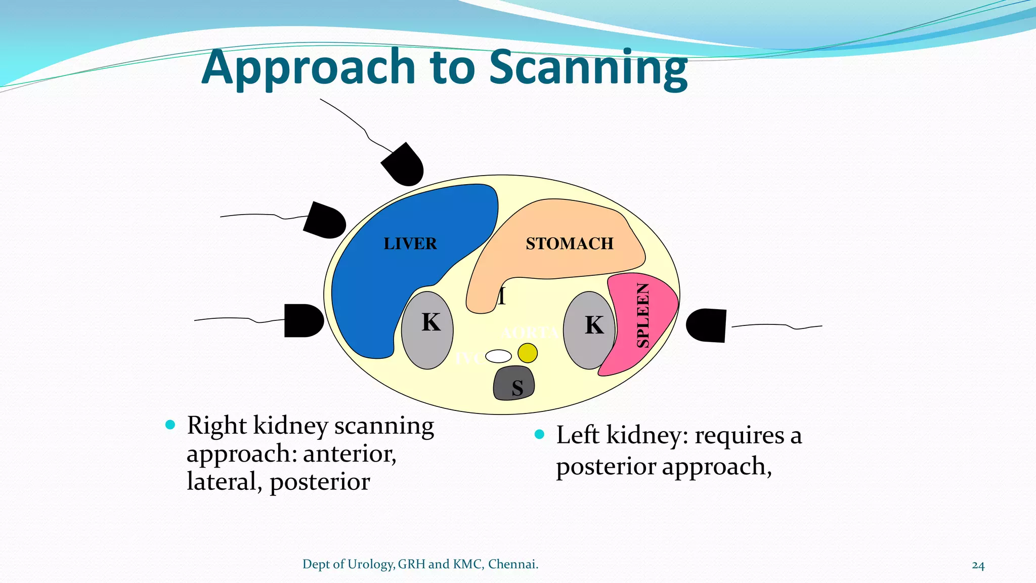 ULTRASOUND IN UROLOGY | PDF