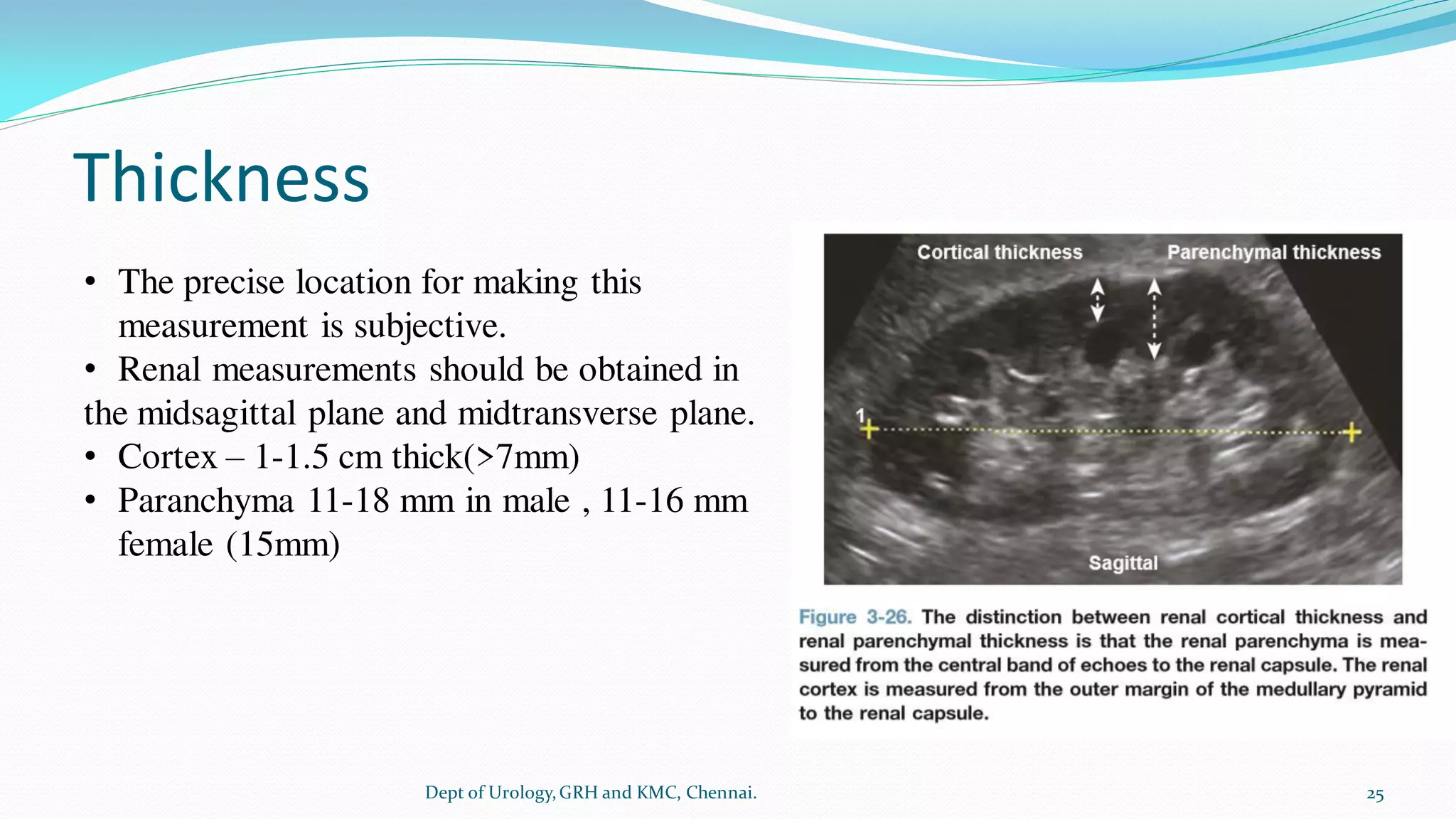 ULTRASOUND IN UROLOGY | PDF