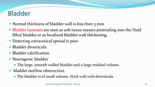 ULTRASOUND IN UROLOGY | PDF