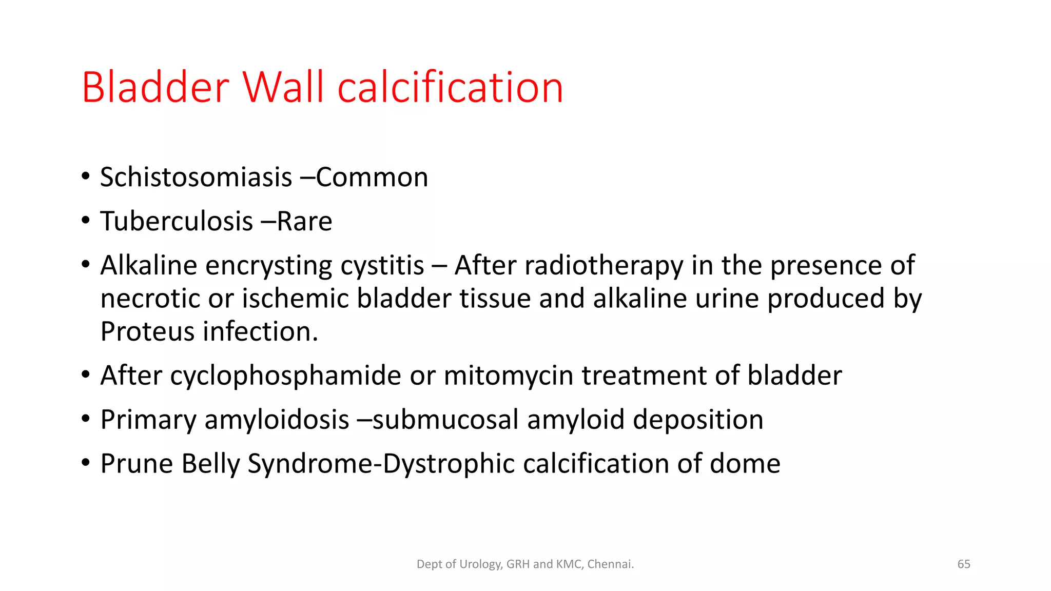 X RAY KUB 1 | PDF