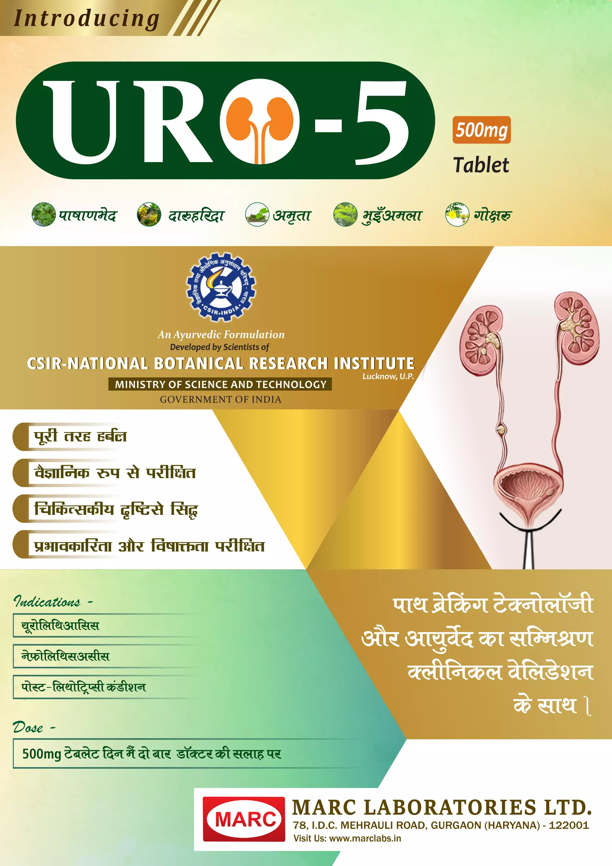 Uro5 ayurvedic medicine for kidney stone | PDF