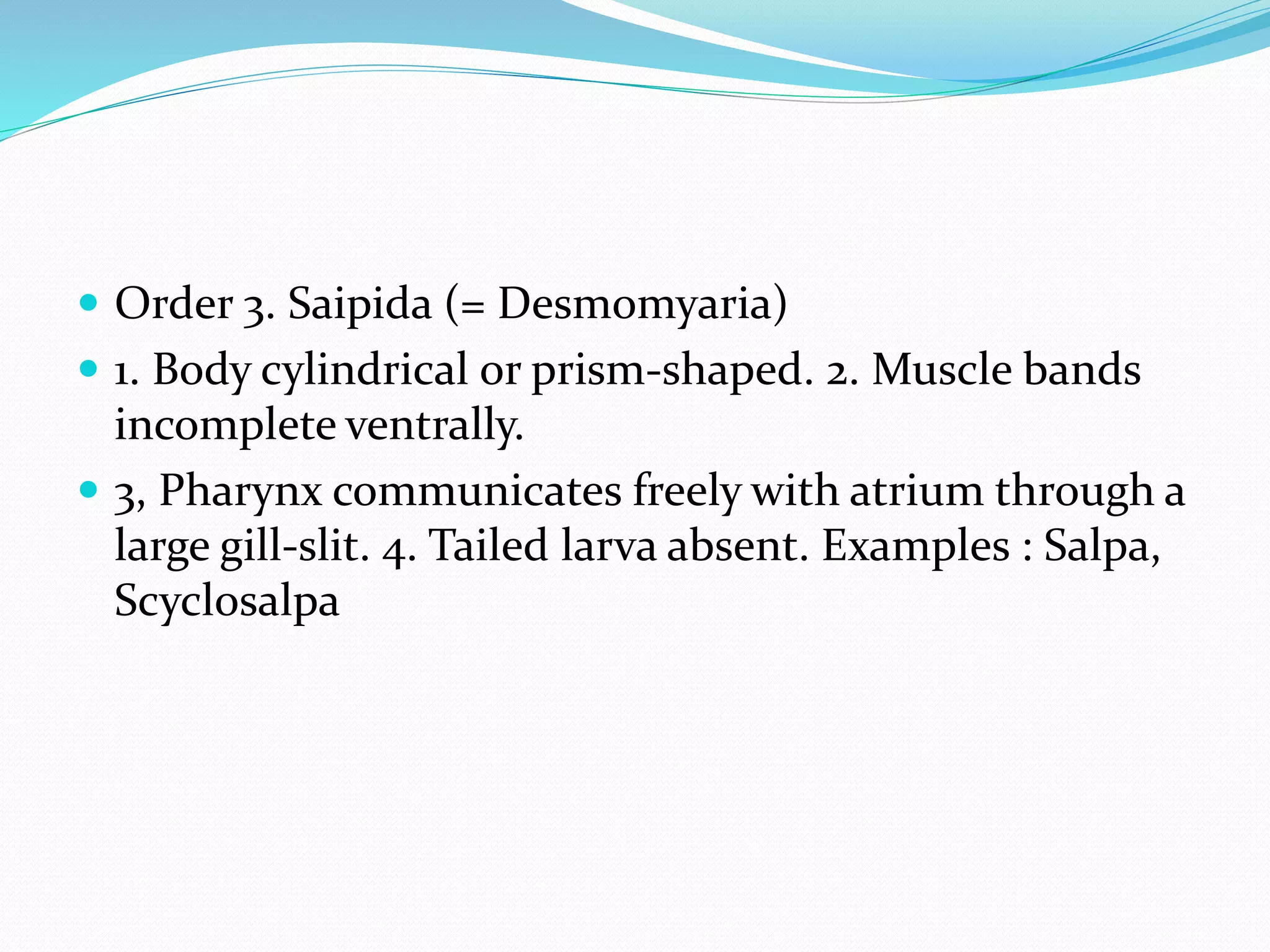 Urochordata.pptx