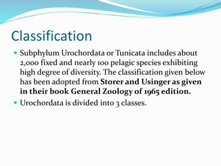Subphylum Urochordata Classification