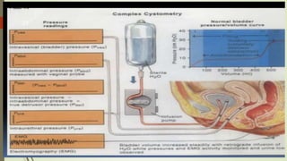 Urodynamic ppp | PPT
