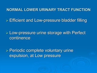 Presentation URODYNAMIC study urolog.ppt