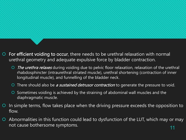 basics of Urodynamic tests for lower urinary tract obstruction and ...