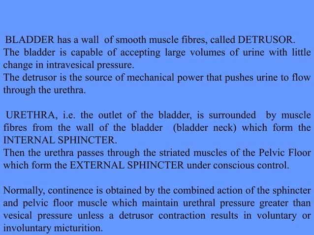 URODYNAMICS PRES -rev 1- basic.ppt | Medical Tests | Medical Health